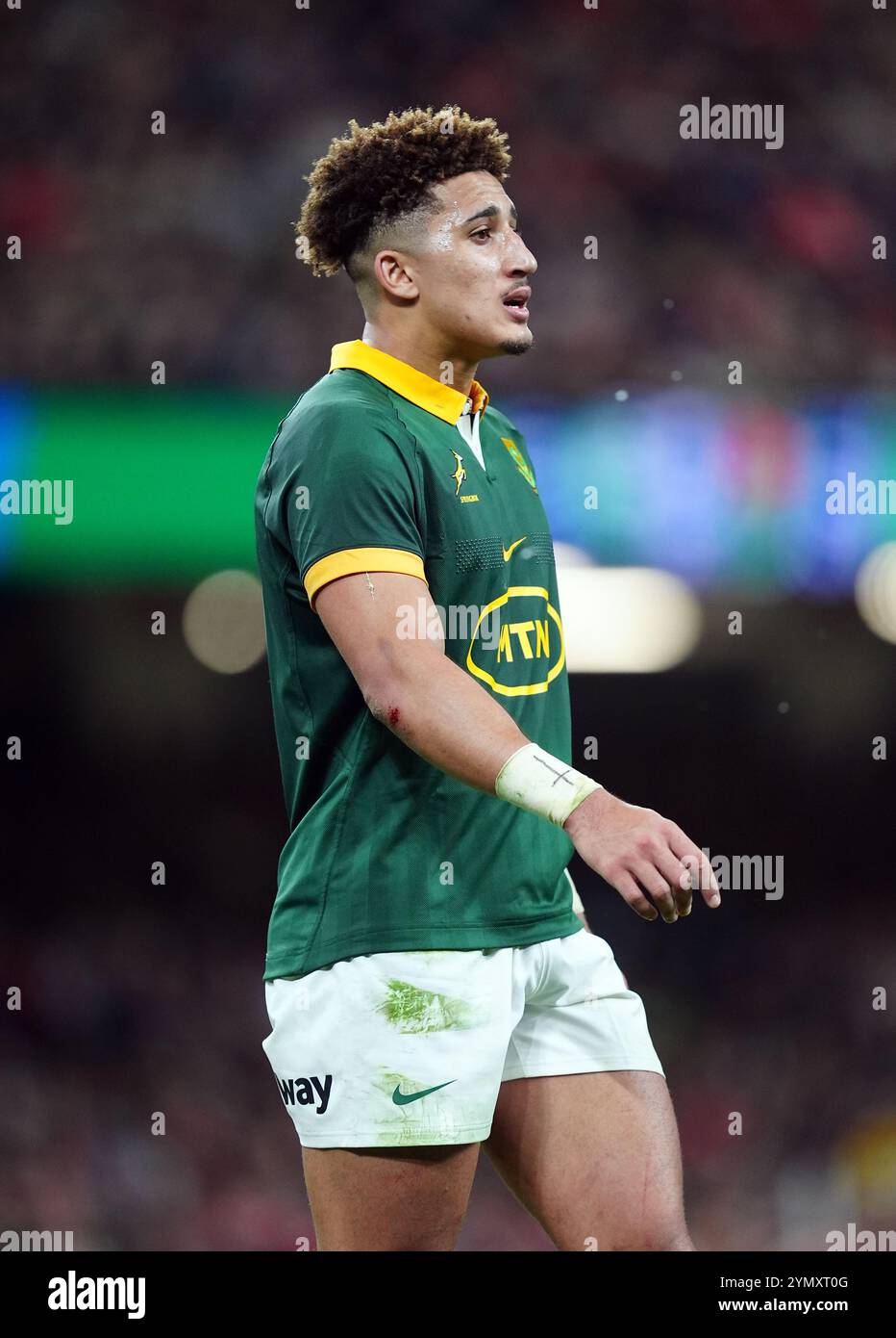 South Africa's Jordan Hendrikse during the Autumn International match ...