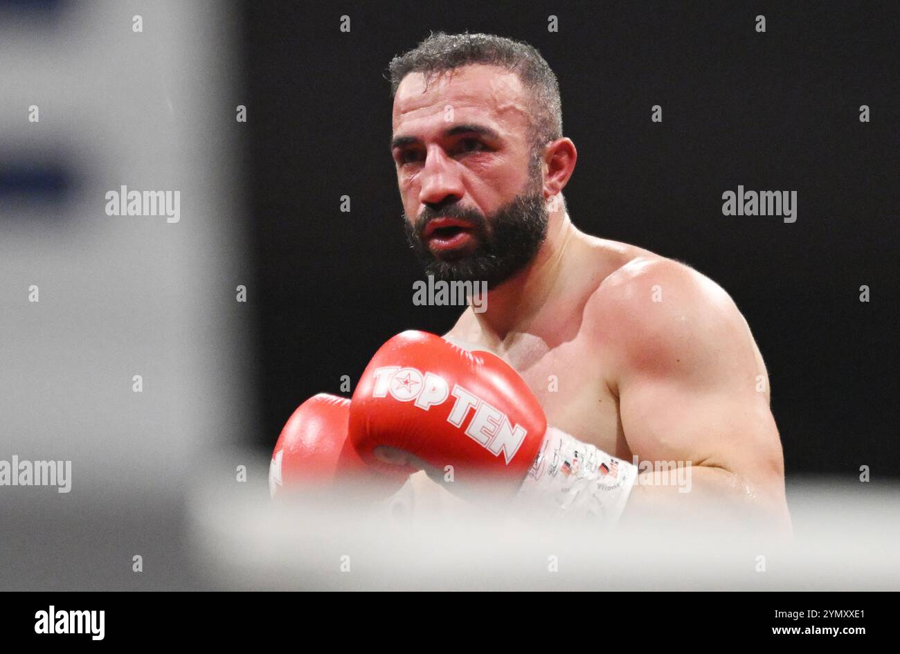 Heidelberg, Germany. 23rd Nov, 2024. Boxing, super lightweight ...