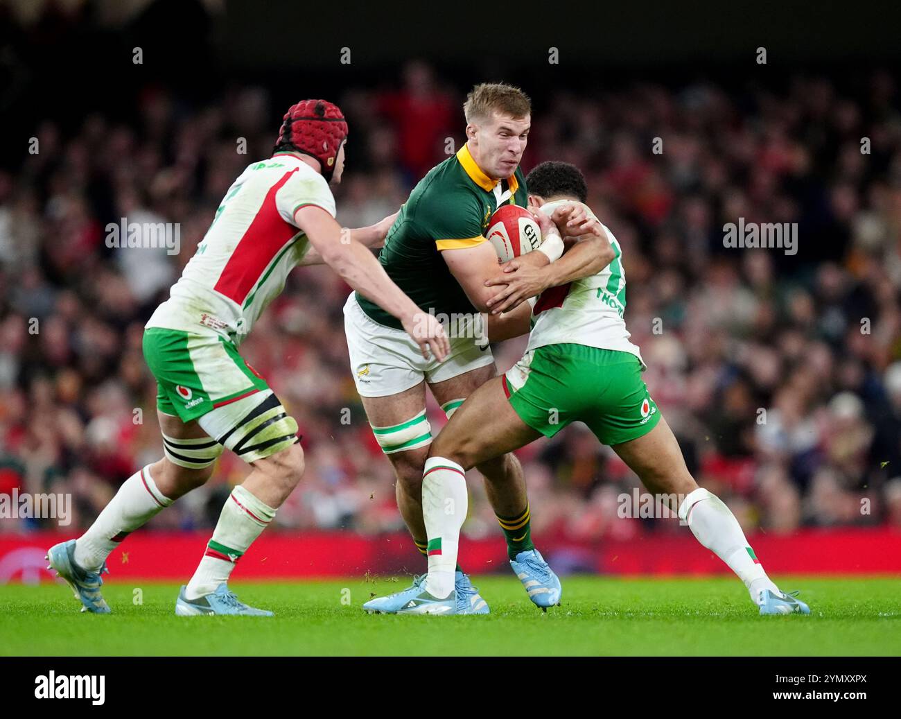 South Africa's Cameron Hanekom (centre) is tackled by Wales' James ...