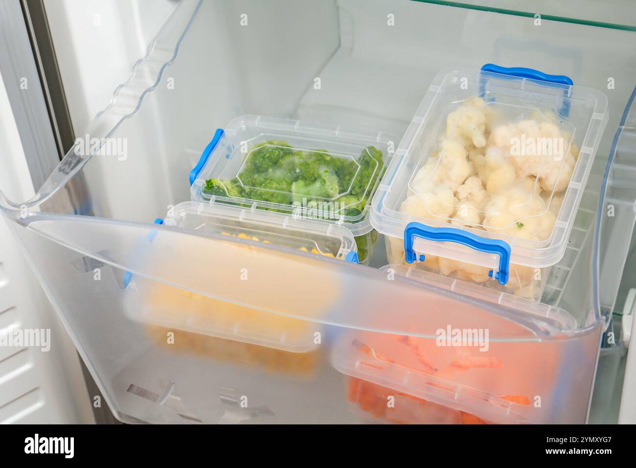 Plastic containers with different frozen vegetables in refrigerator ...