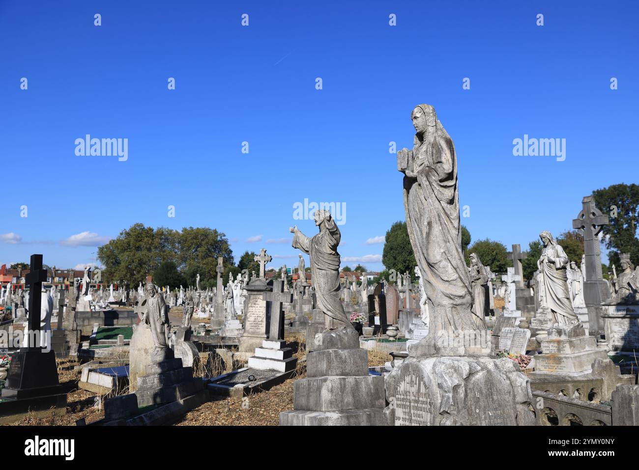 St Patrick's Catholic cemetery in Leytonstone alongside the Central ...