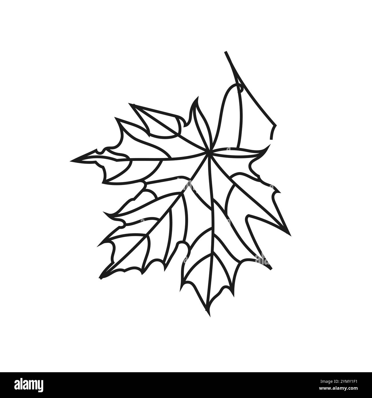 Autumn maple leaves spiral Black and White Stock Photos & Images - Alamy