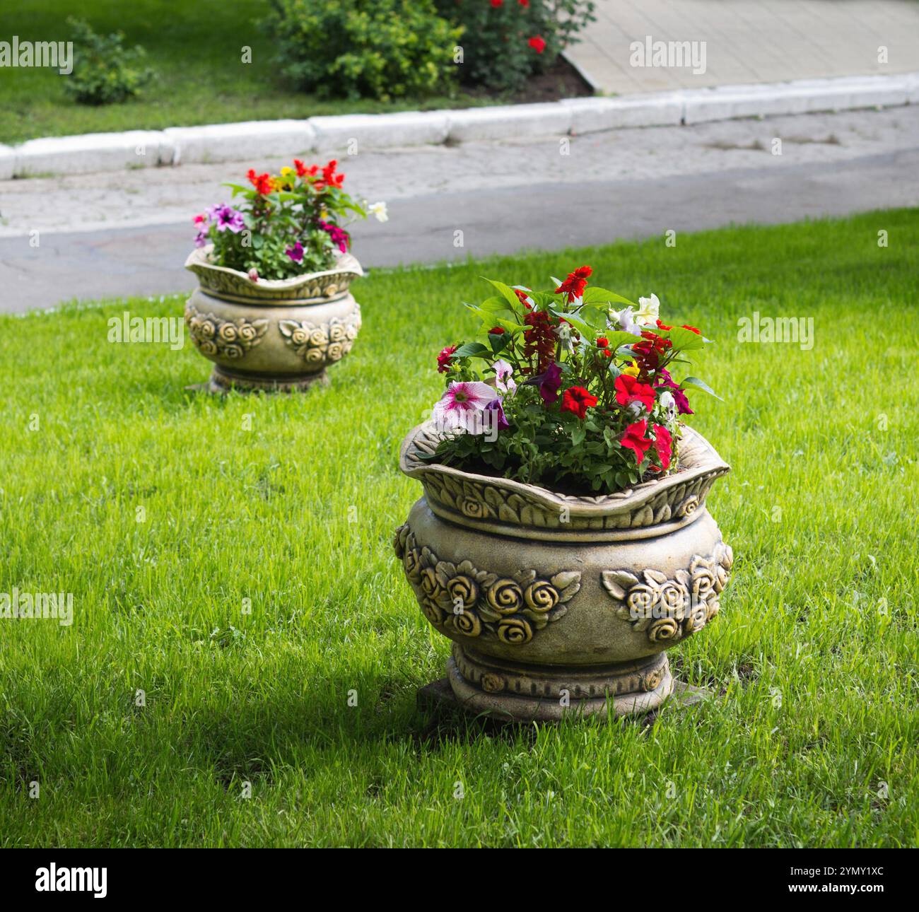 Beautiful head household hi-res stock photography and images - Alamy