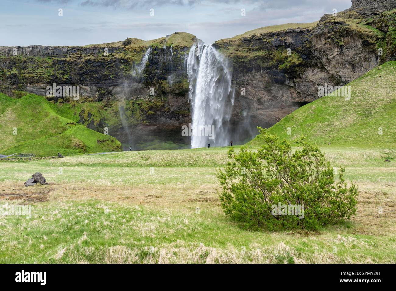Seljalandsfoss Waterfall in Iceland: Iconic Scenic Beauty Surrounded by ...