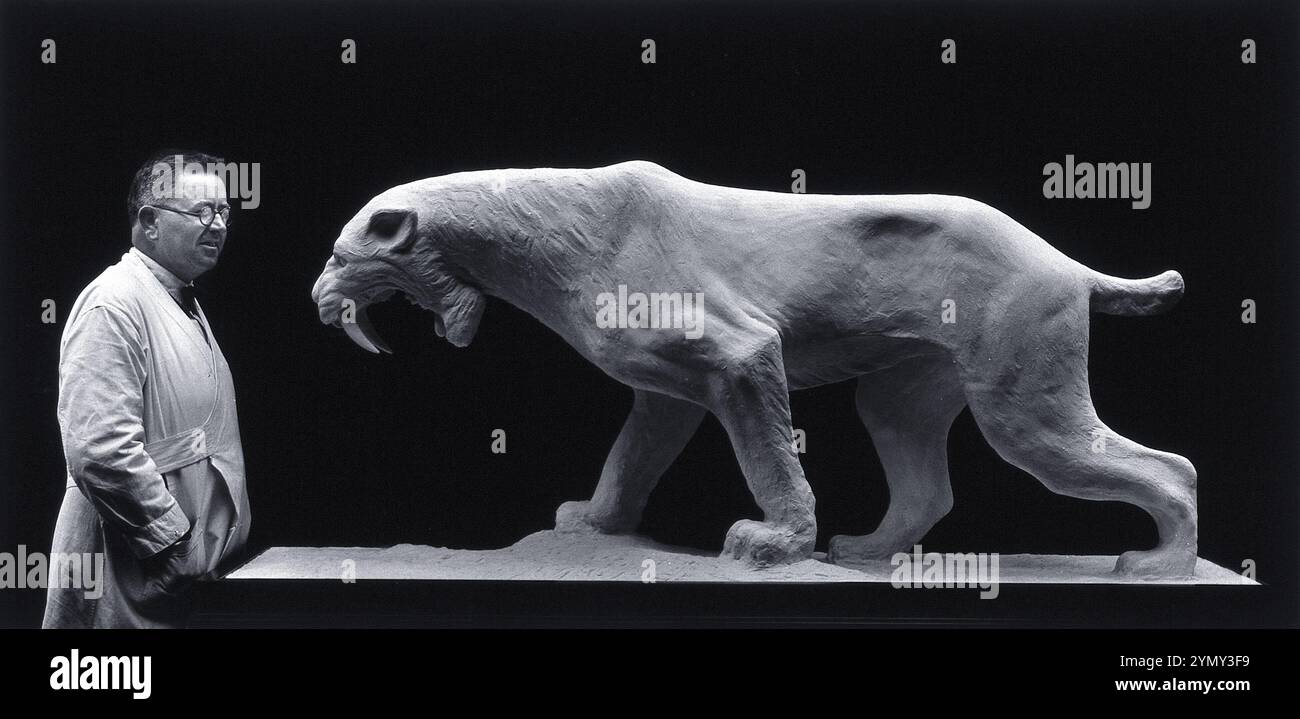 Osteologist hi-res stock photography and images - Alamy