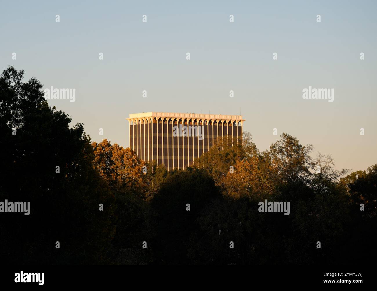 Columbus, Georgia, USA. 20th Nov, 2024. The Columbus Consolidated ...