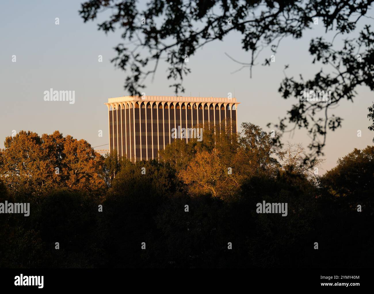 Columbus, Georgia, USA. 20th Nov, 2024. The Columbus Consolidated ...