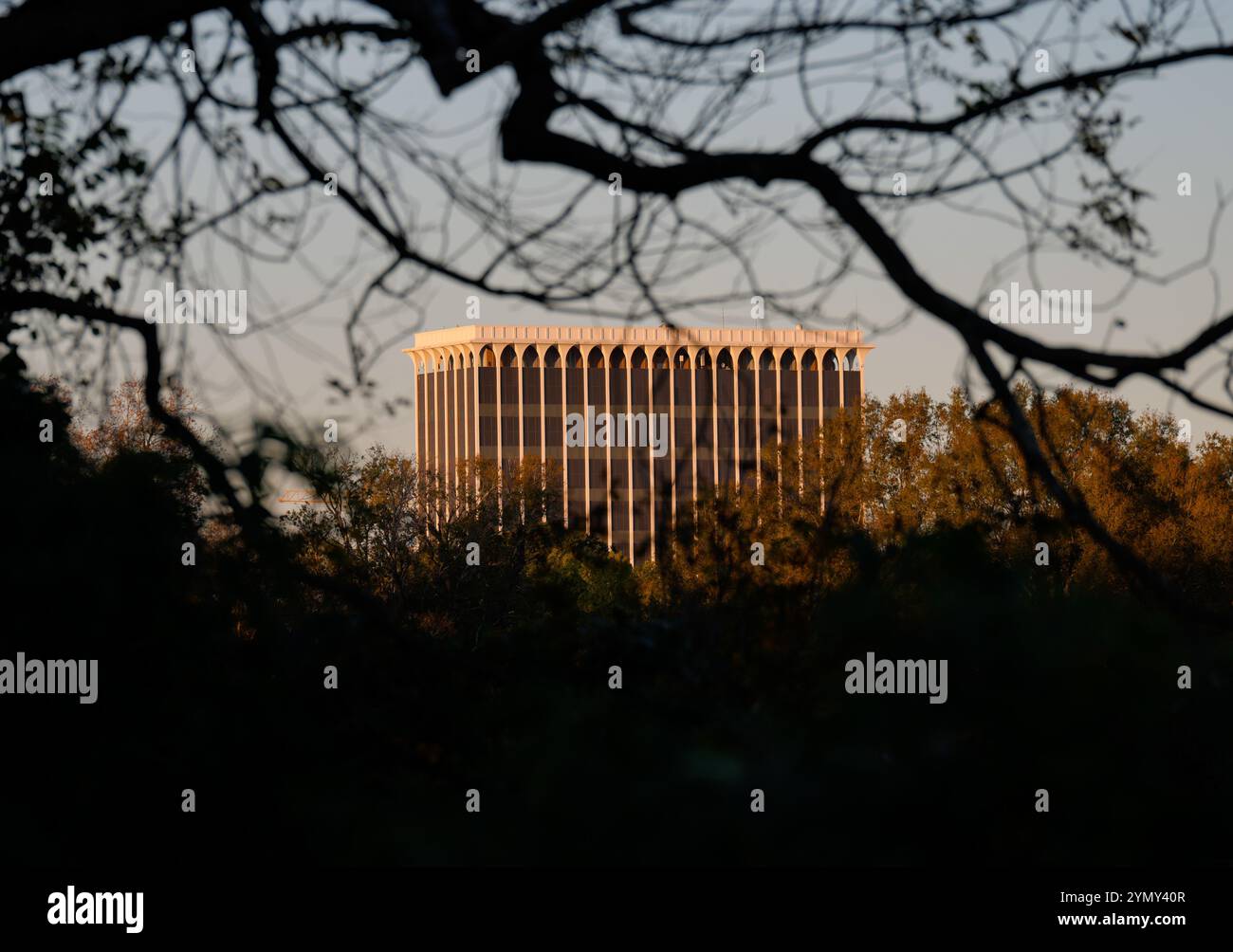 Columbus, Georgia, USA. 20th Nov, 2024. The Columbus Consolidated ...