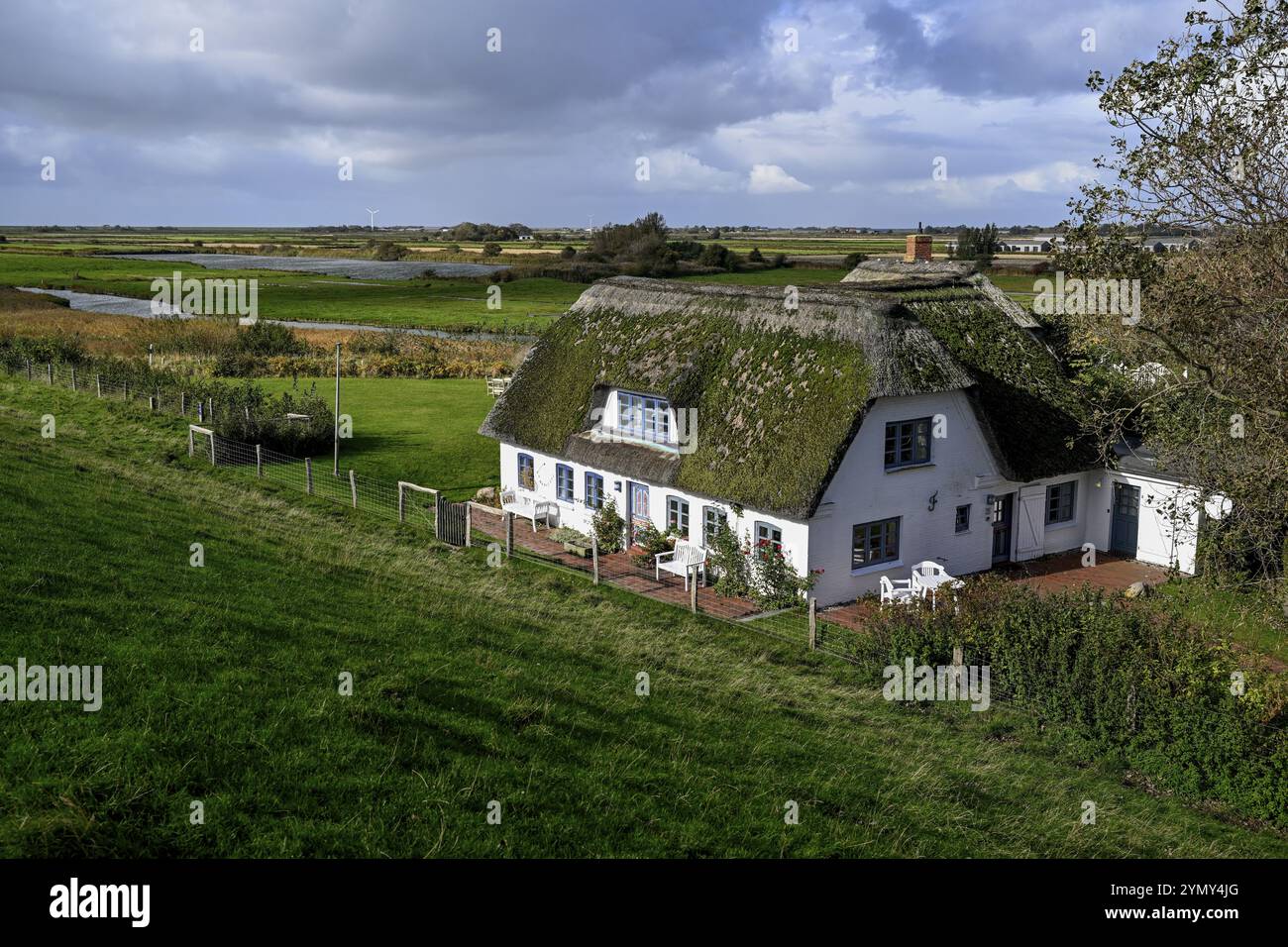 Thatched-roof house on Kaydeich, Pellworm Island, Schleswig-Holstein ...