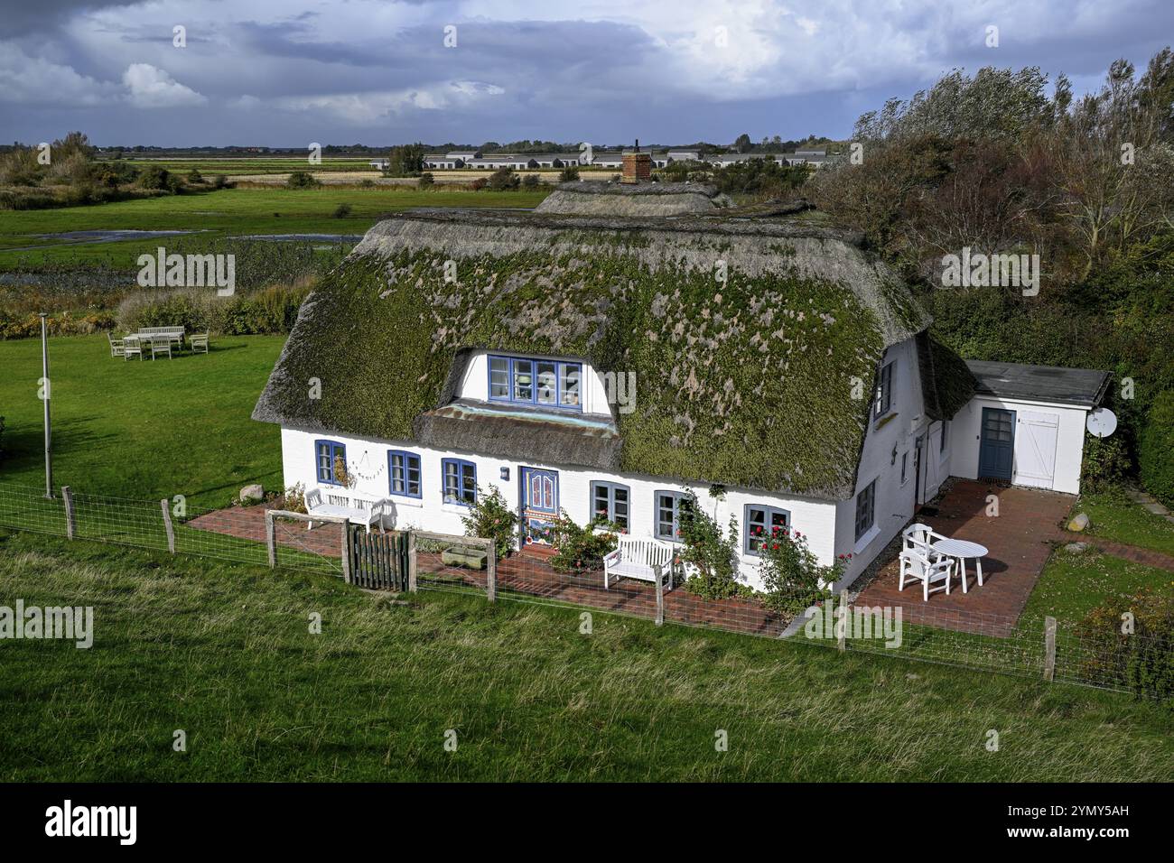 Thatched-roof house on Kaydeich, Pellworm Island, Schleswig-Holstein ...