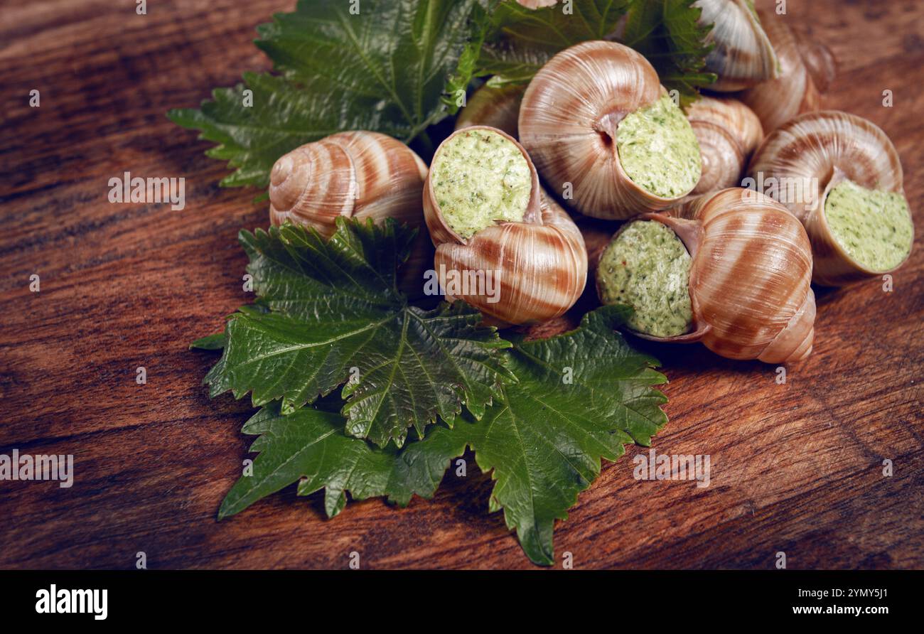 Snails stuffed in Burgundy, top view, with grape leaves, French cuisine ...
