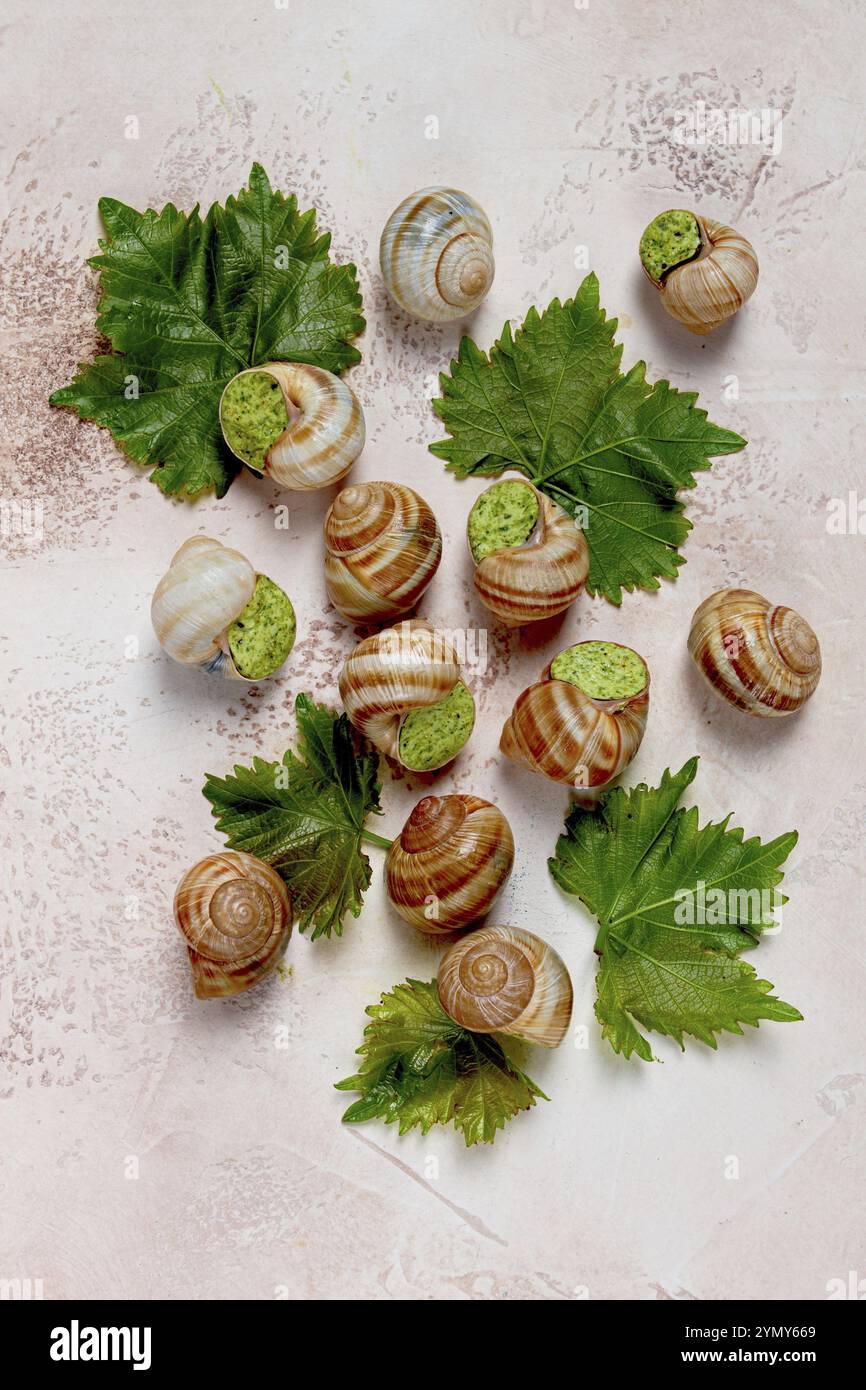 Snails stuffed in Burgundy, top view, with grape leaves, French cuisine ...