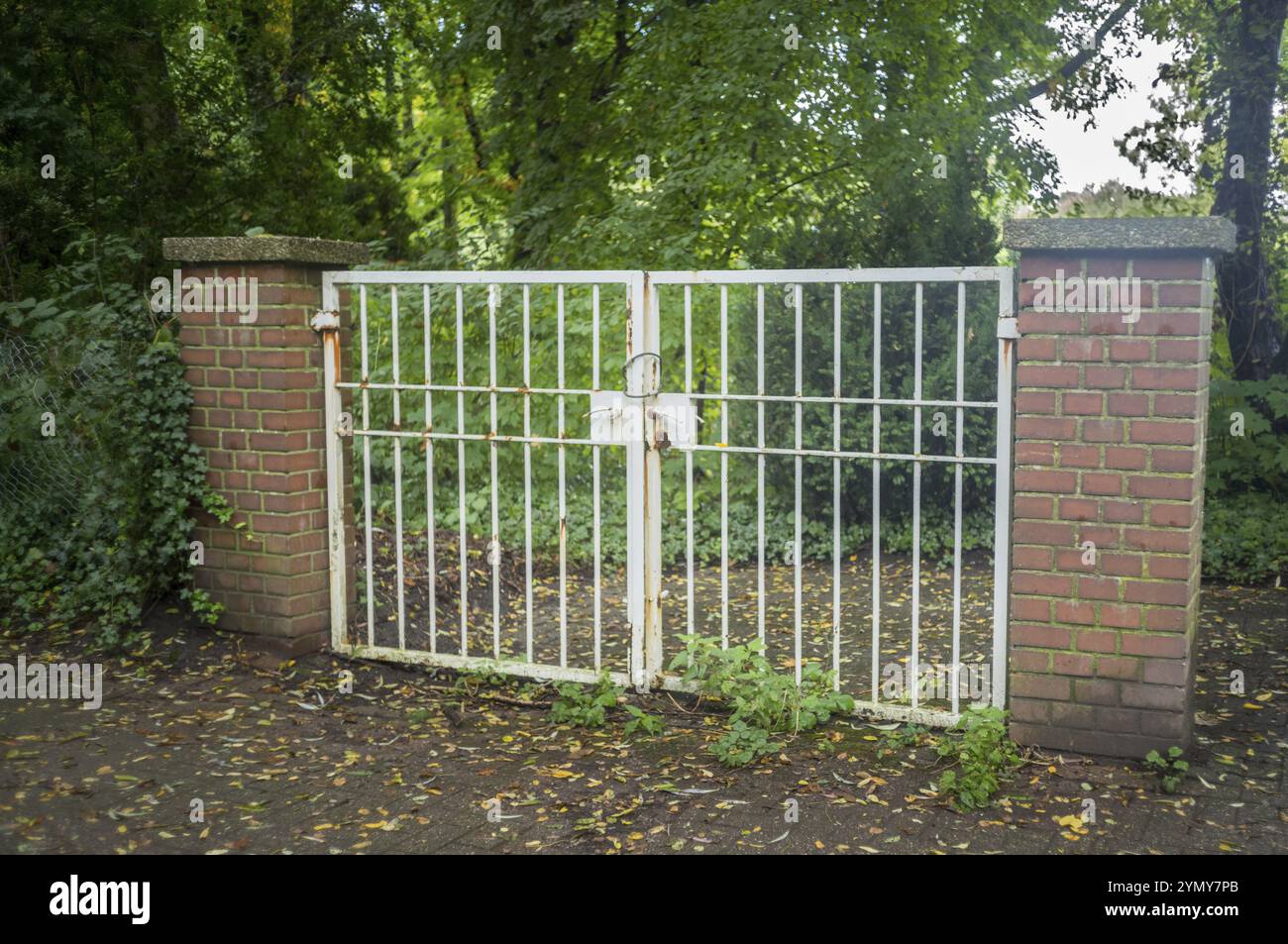Large locked old garden gate Stock Photo - Alamy
