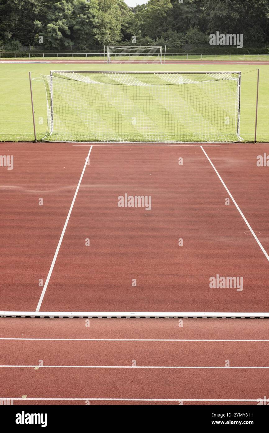Grass football pitch with two goals Stock Photo - Alamy