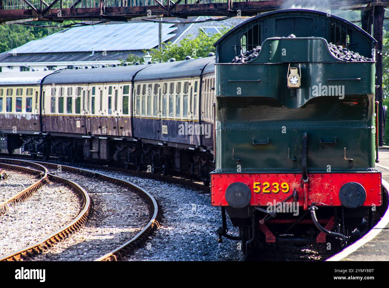 Vintage steam locomotive with number 5239 pulling a line of classic ...