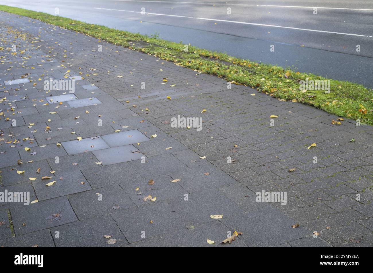 Wet road with cycle path and sidewalk, poorly maintained Stock Photo ...