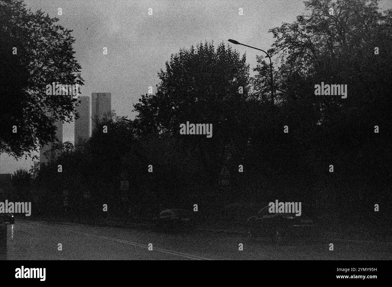 A grayscale image encircled by trees and nature, capturing a somber and ...