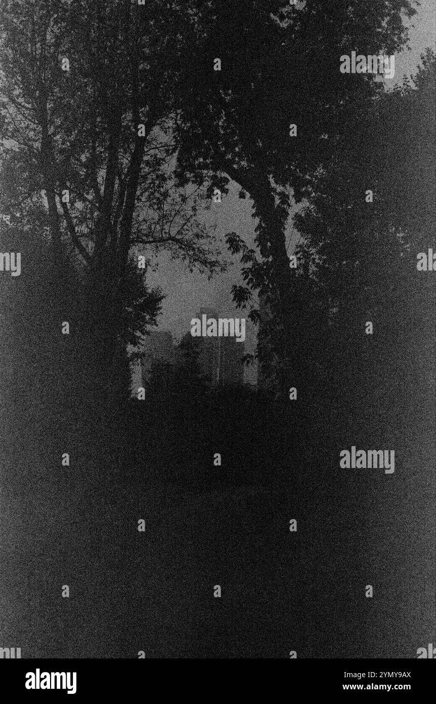 A grayscale image of a graveyard encircled by trees and nature ...