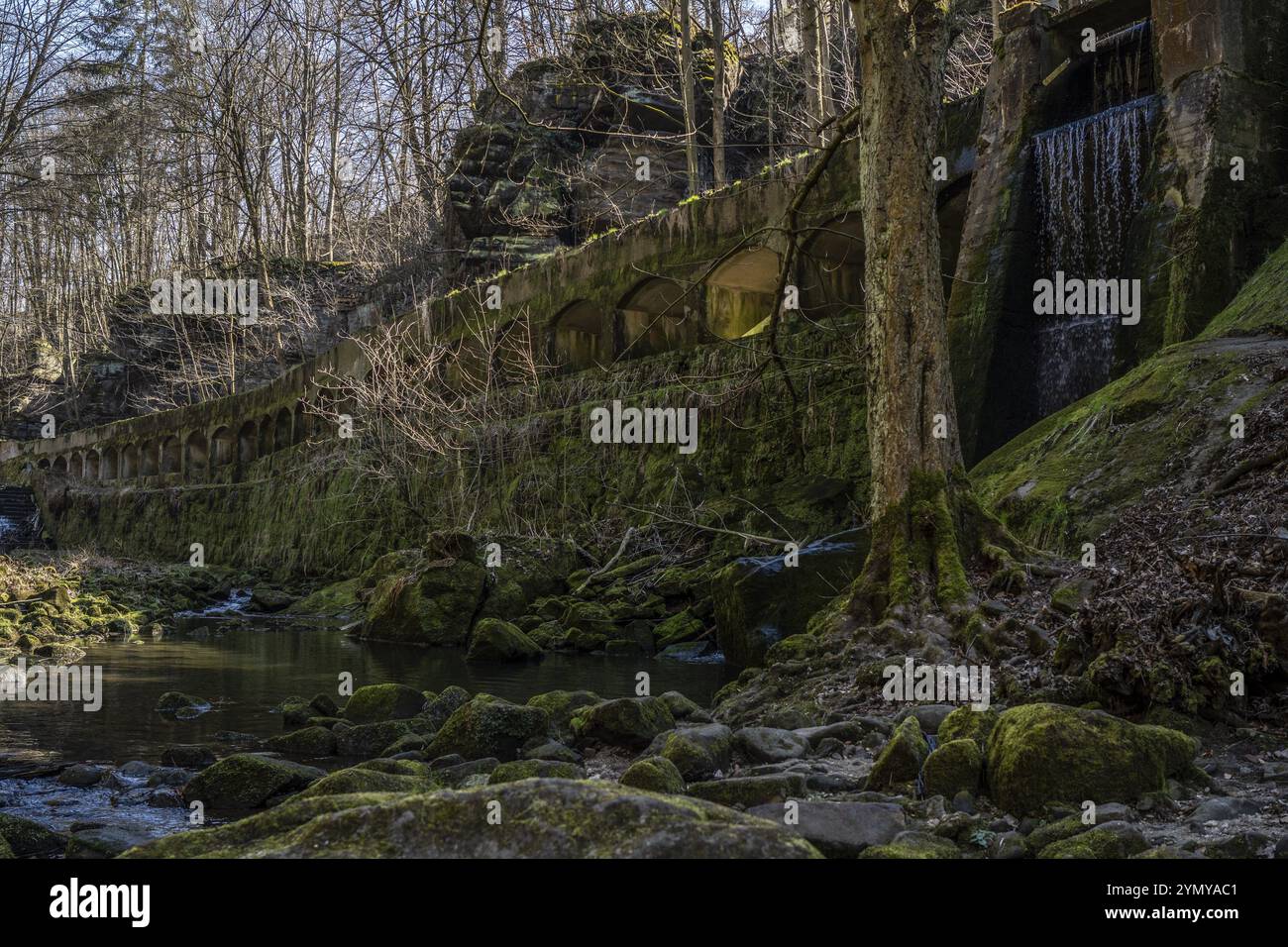 Hike through the Lohmen gorge - historic hydroelectric power plant ...