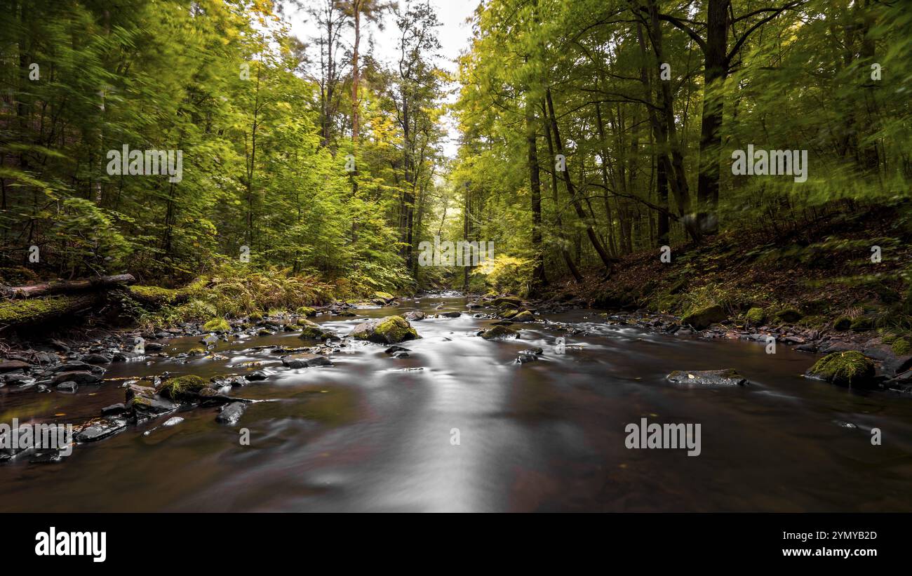 River landscape in Saxony, the Loebauer Wasser - in the heart of Upper ...