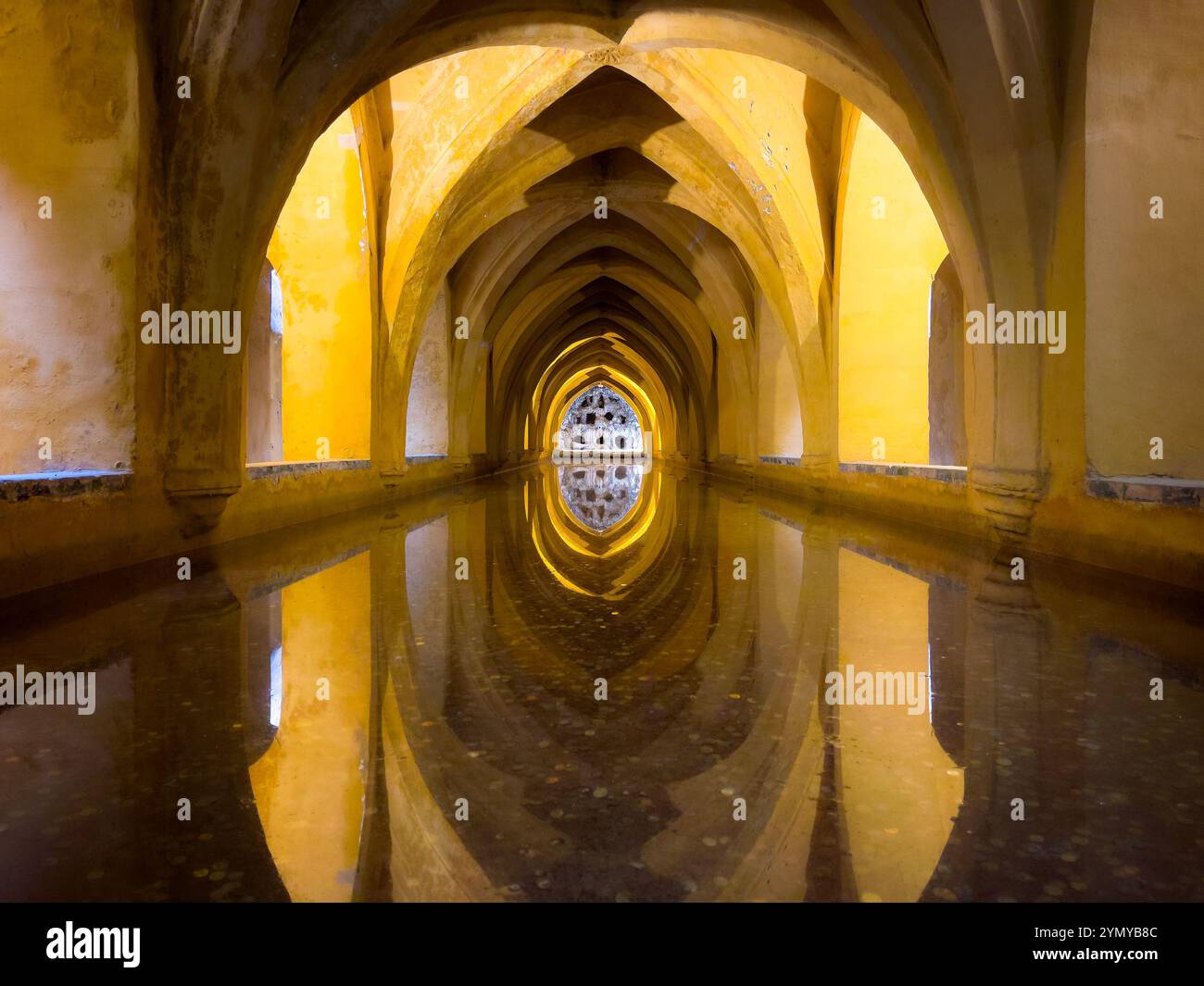 The image shows a flooded hallway in a historic building. The hallway ...