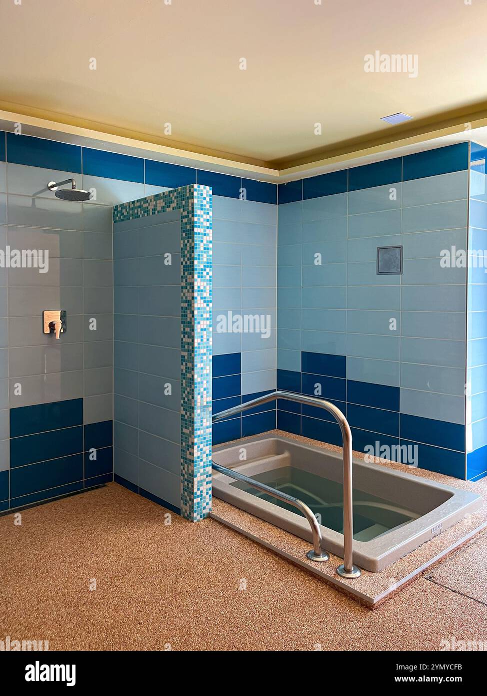 Cold plunge pool and shower in wellness centre Stock Photo - Alamy