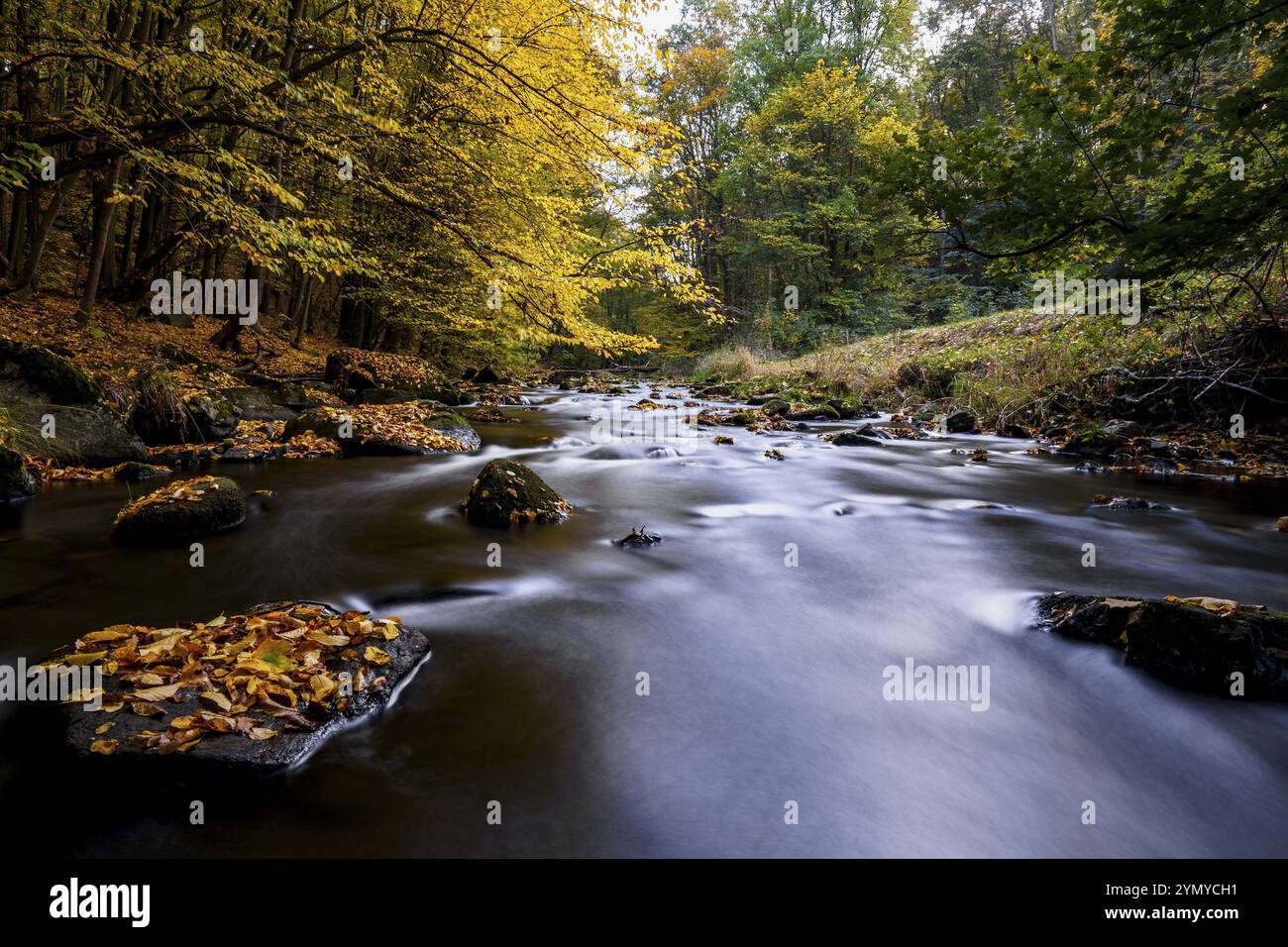 Autumn magic on a river landscape in Lusatia - the Loebauer Wasser 8 ...