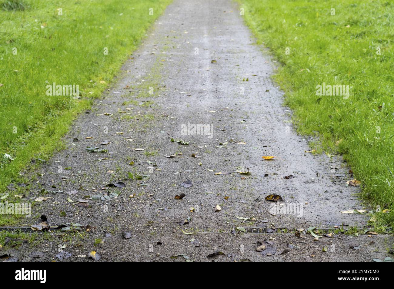 Grit ways hi-res stock photography and images - Alamy
