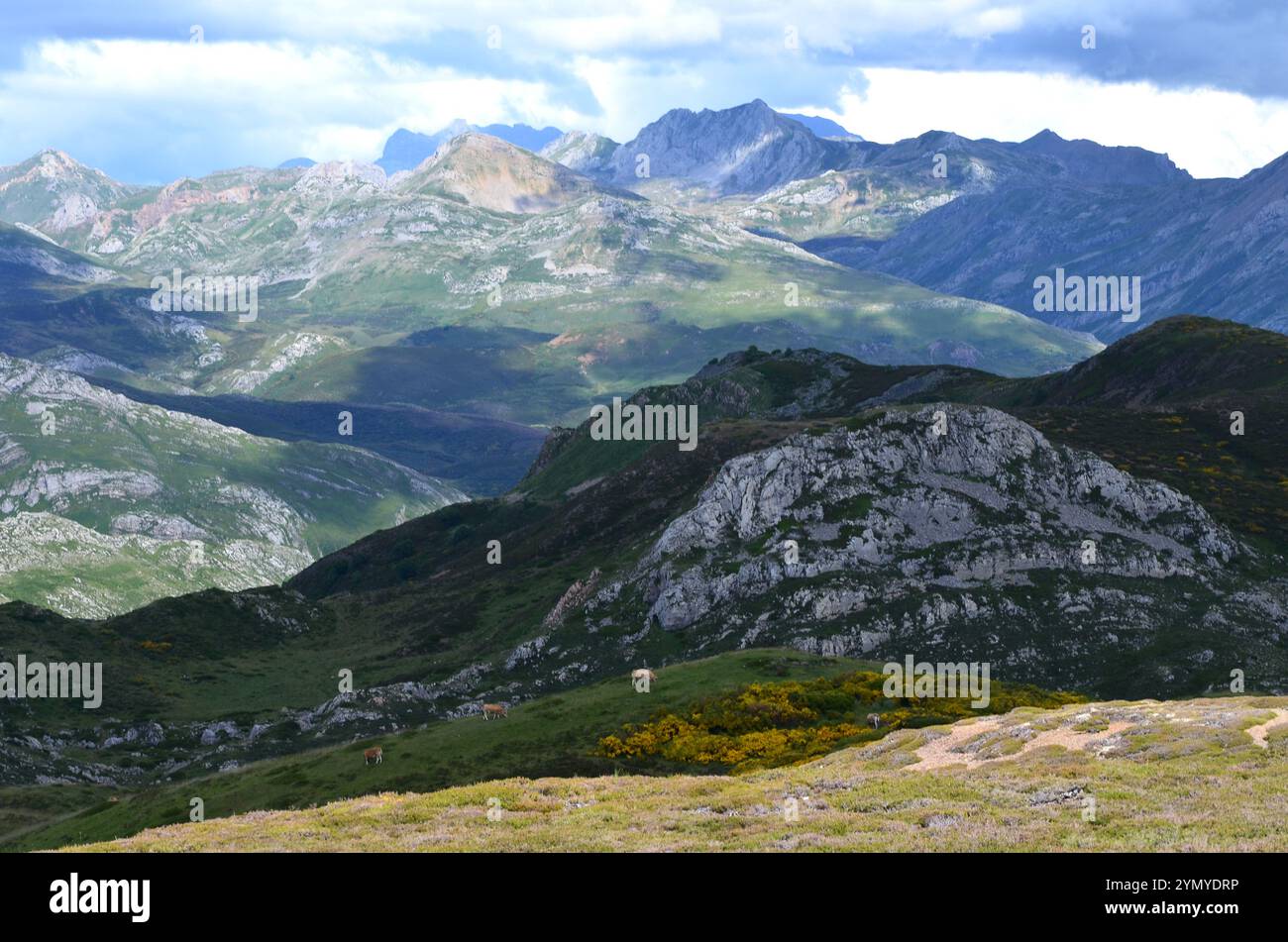 Cantabrian mountains system hi-res stock photography and images - Alamy