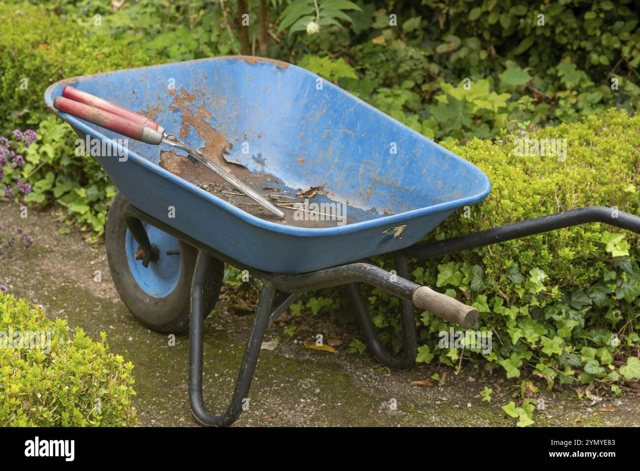 Blue wheelbarrows hi-res stock photography and images - Alamy