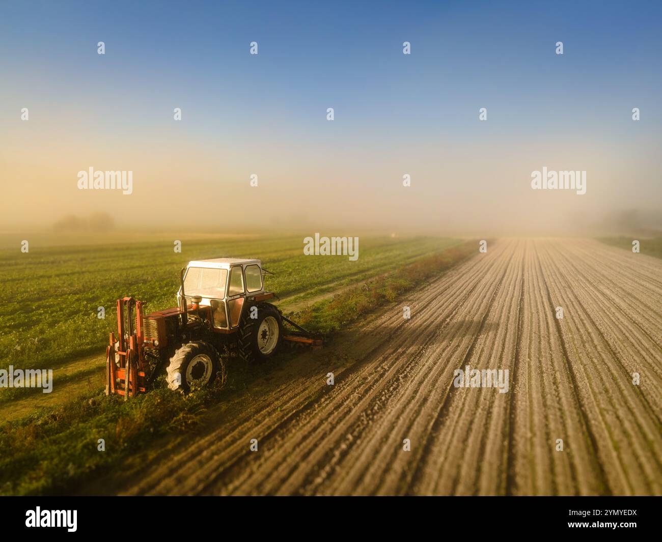 A tractor is actively working in a misty agricultural field, enhancing ...