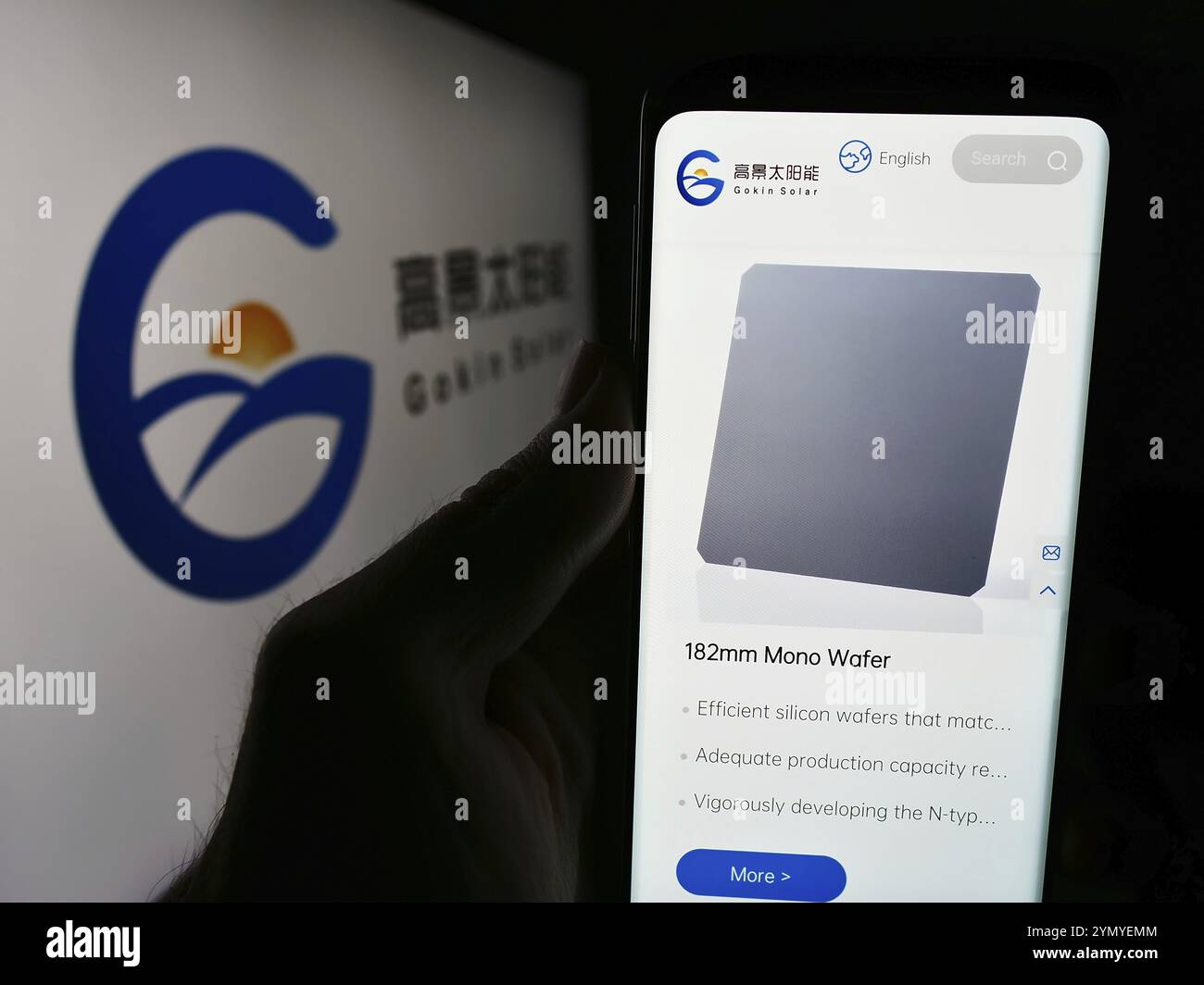 Stuttgart, Germany, 06-14-2024: Person holding cellphone with webpage ...