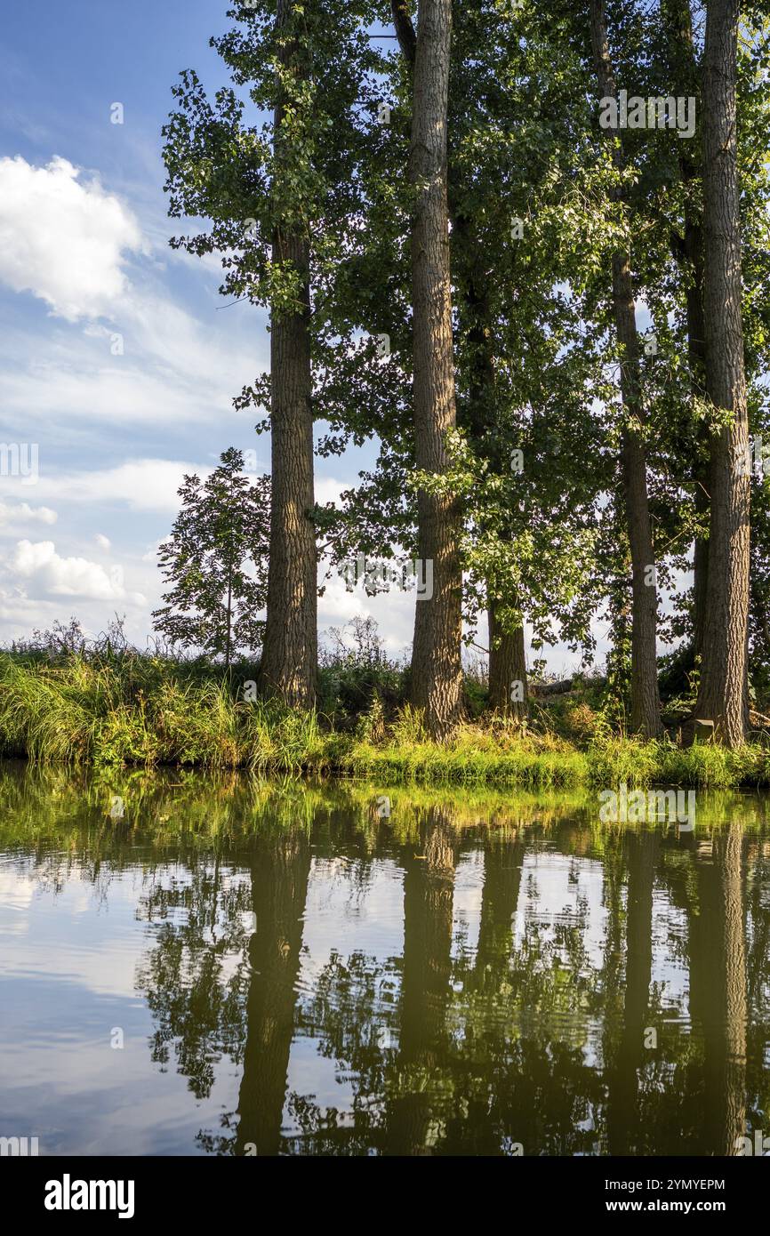 The Spreewald - travelling by kayak 1 Stock Photo - Alamy