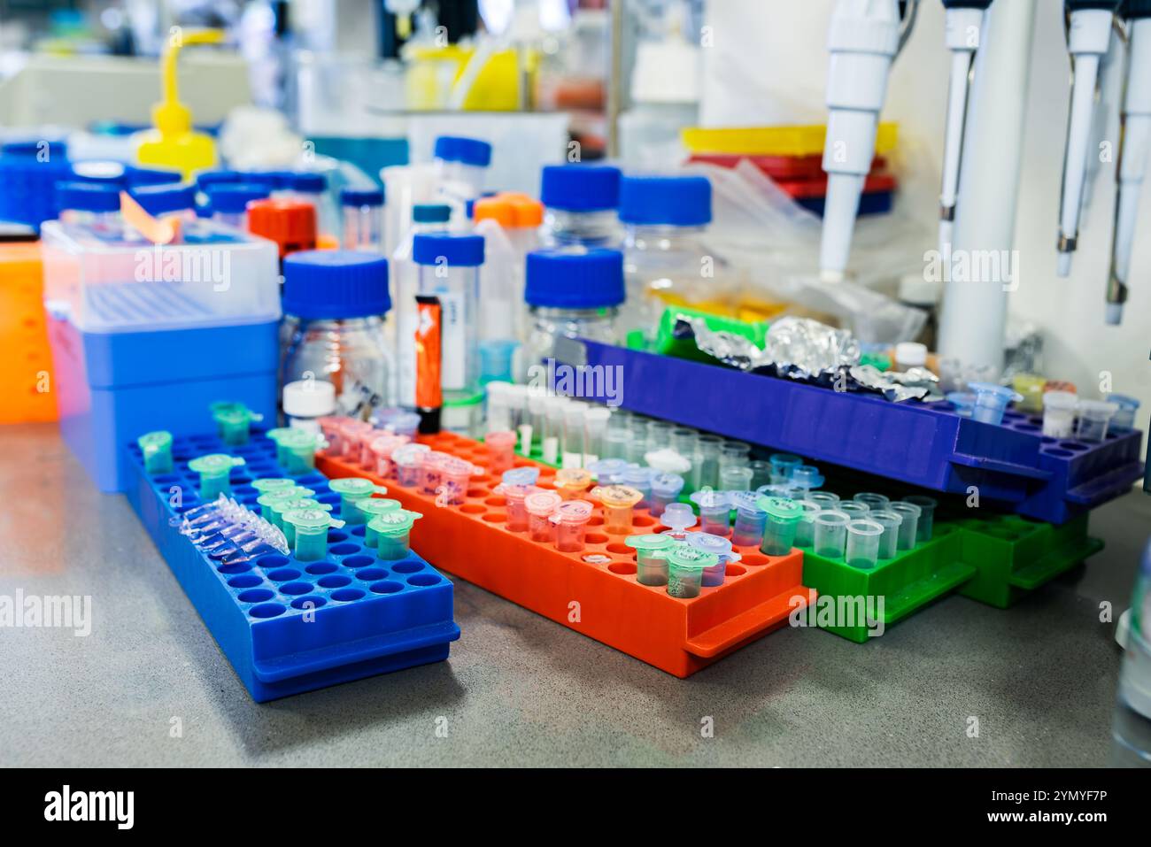 Well-Organized Laboratory Workbench Featuring Chemical Supplies, Sample ...