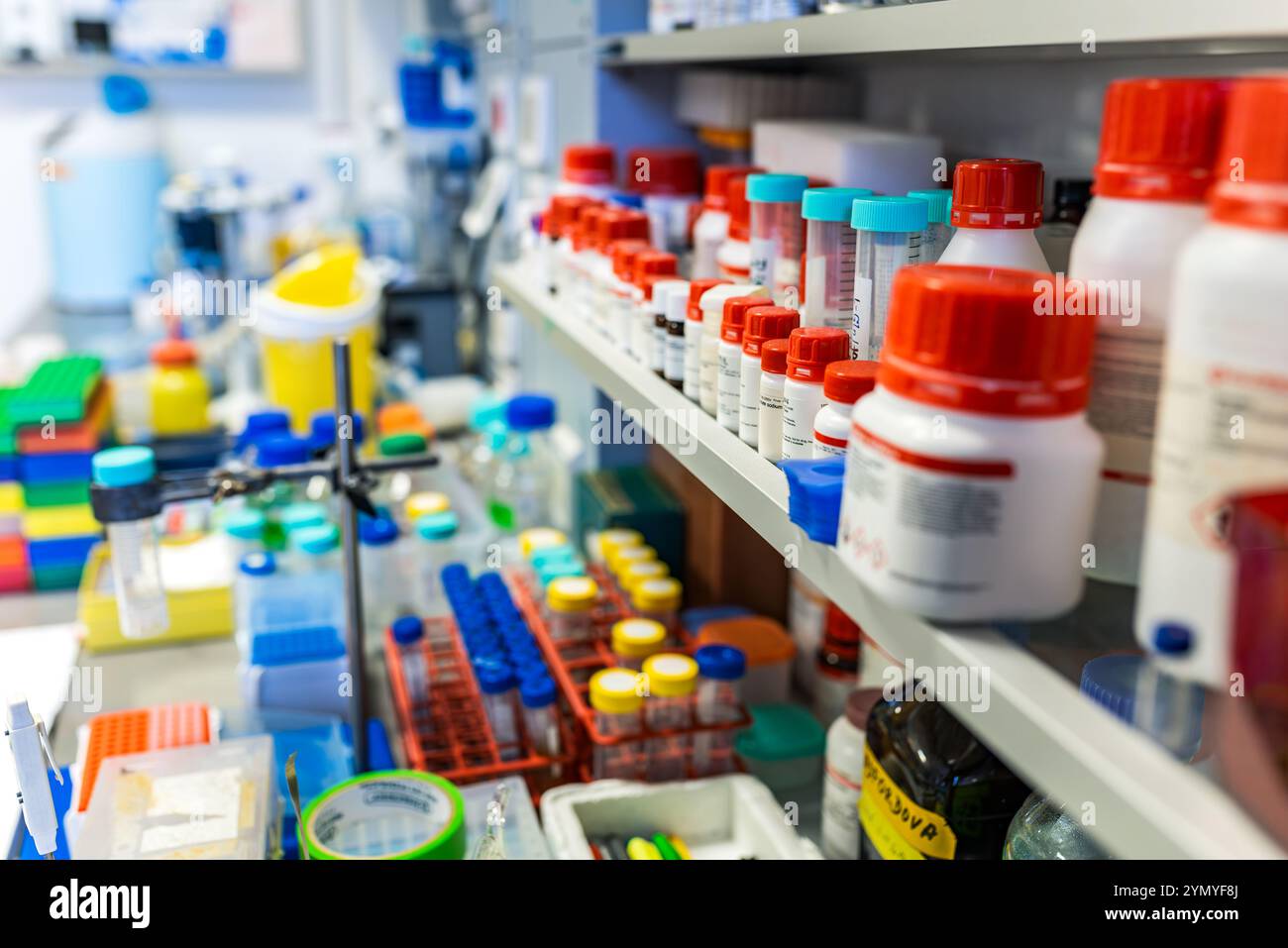 Organized Chemical Reagents and Containers on Laboratory Shelving, Biochemistry laboratory ...