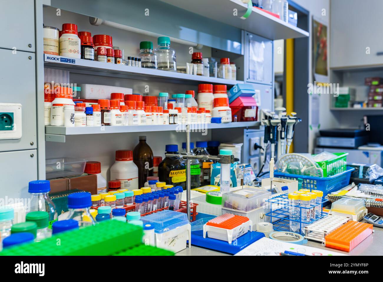 Organized Chemical Reagents and Containers on Laboratory Shelving ...