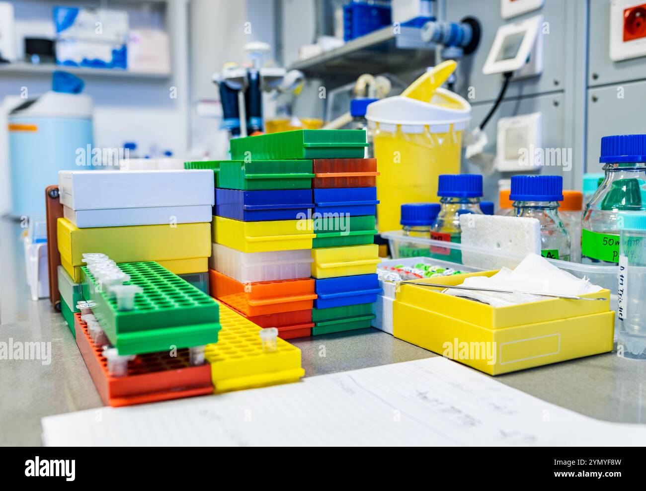Well-Organized Laboratory Workbench Featuring Chemical Supplies, Sample ...