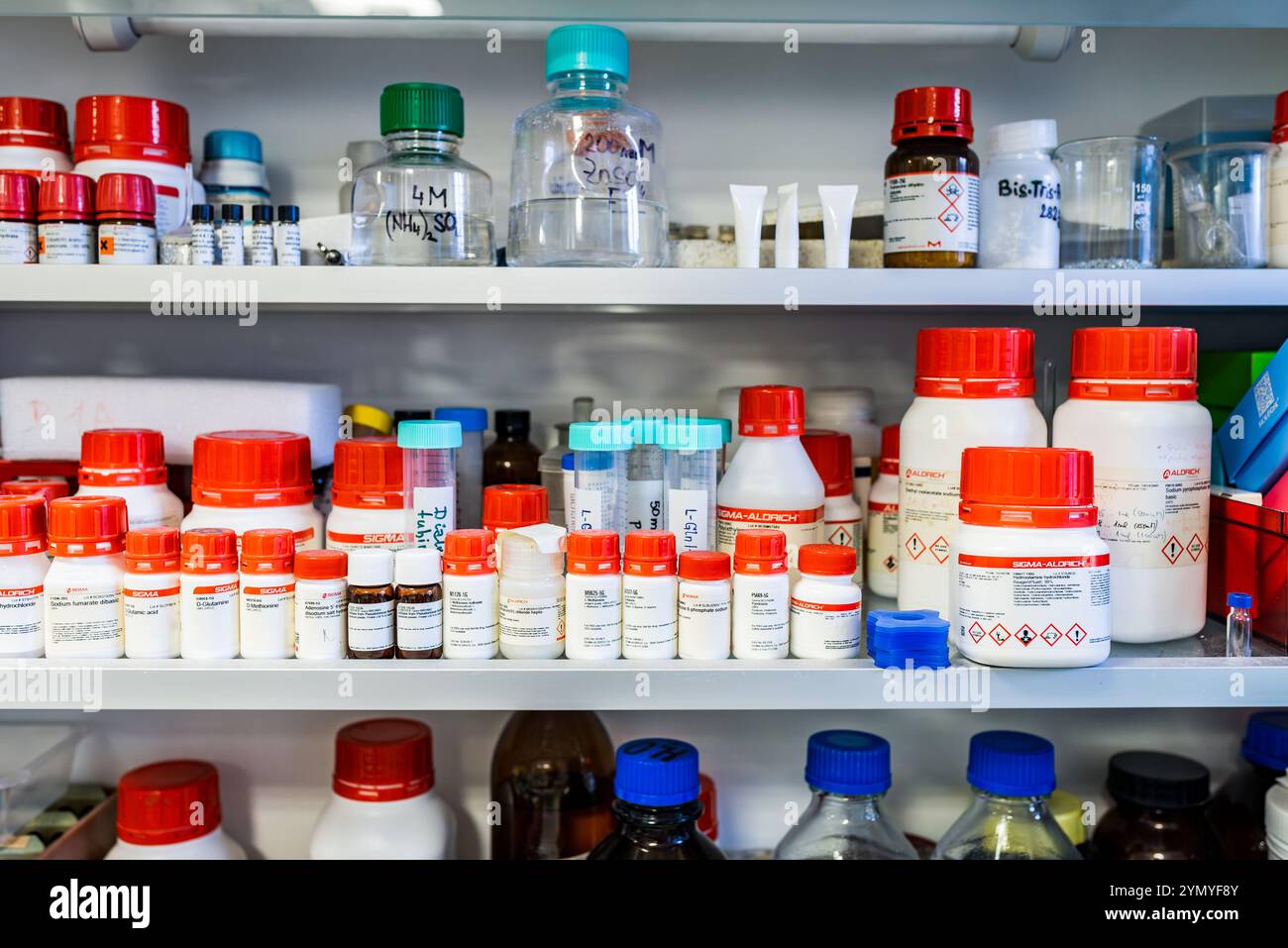 Organized Chemical Reagents and Containers on Laboratory Shelving ...