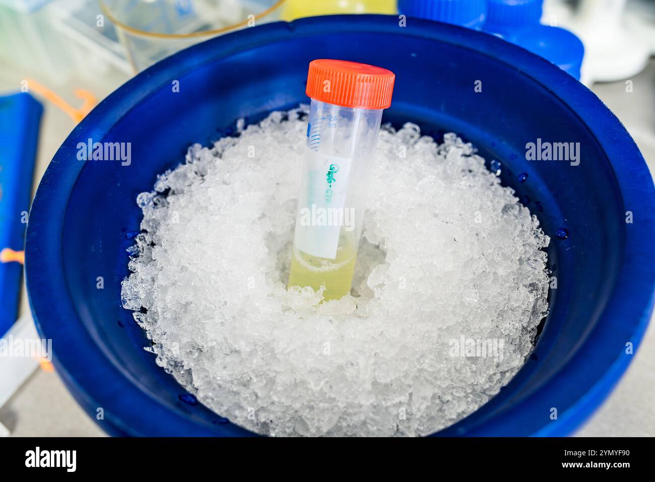 Sample Tube in Ice Bath for Laboratory Cooling Stock Photo - Alamy