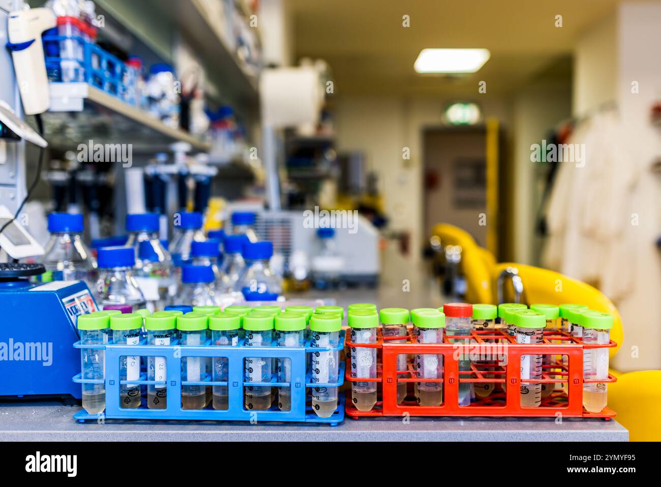 Well-Organized Laboratory Workbench Featuring Chemical Supplies, Sample ...