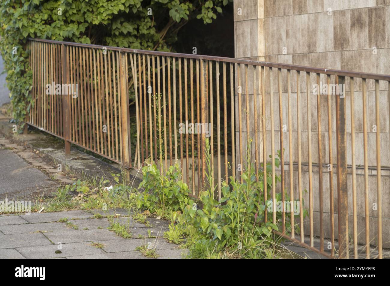 Old railing at a cellar entrance Stock Photo - Alamy