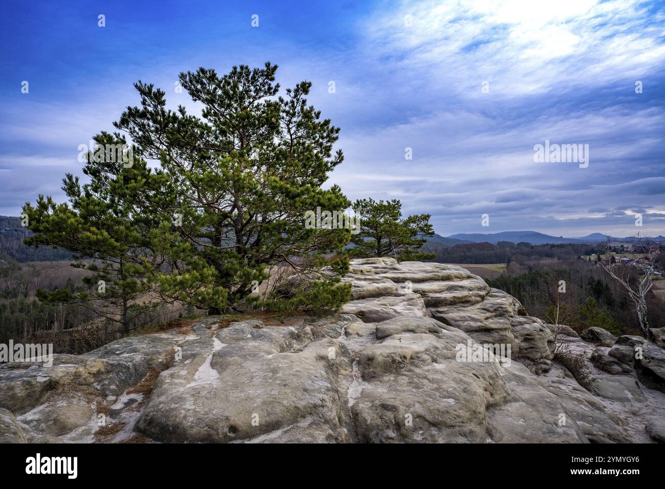 Rocky peak with pine tree in Saxon Switzerland 5 Stock Photo - Alamy