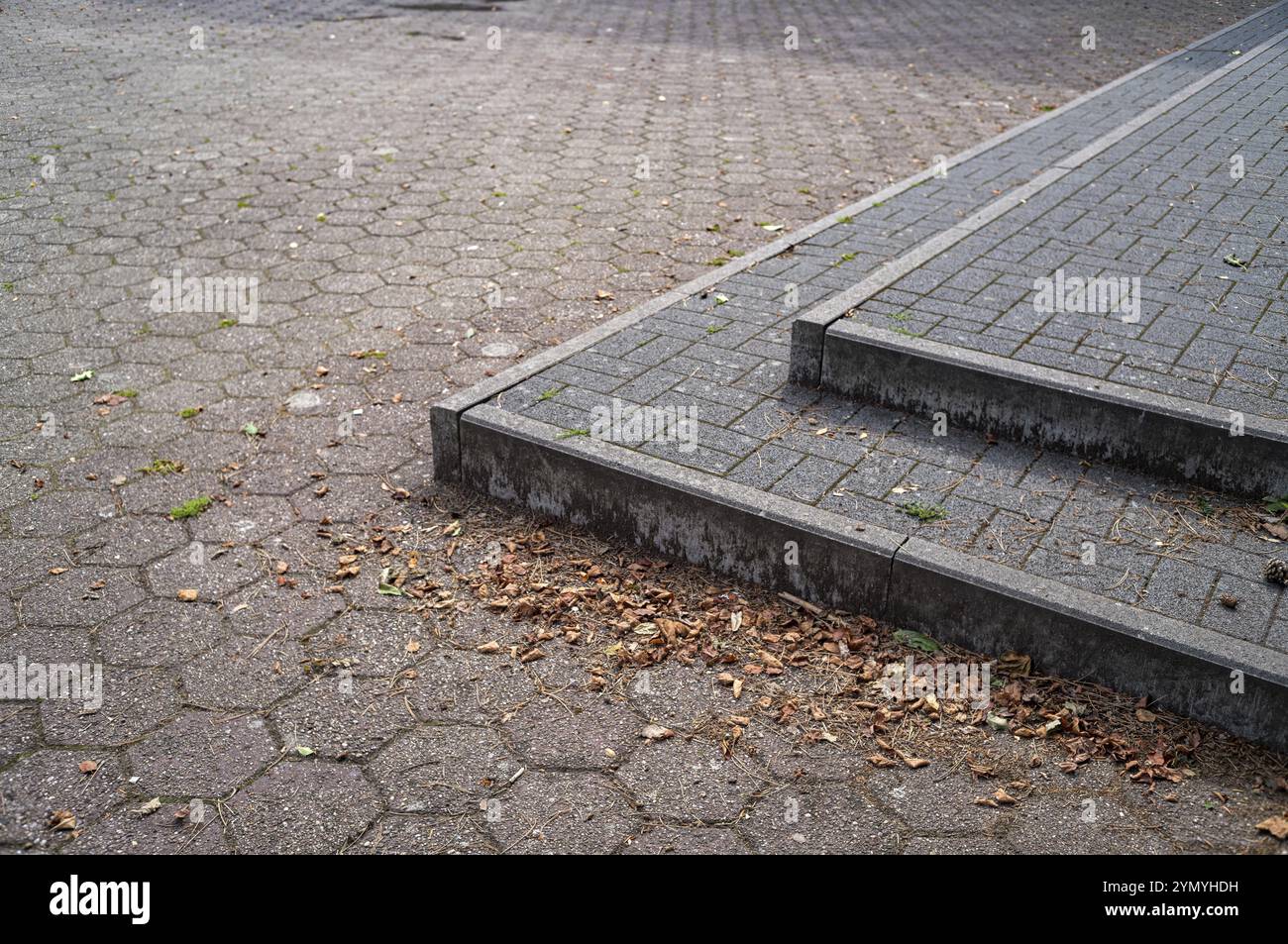 Wide steps on paved square Stock Photo - Alamy