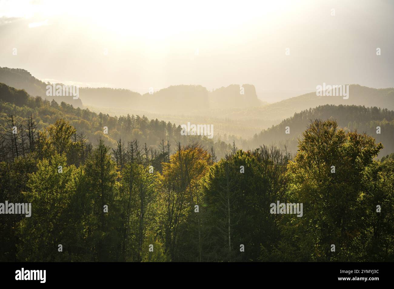 Magical evening hour hi-res stock photography and images - Alamy