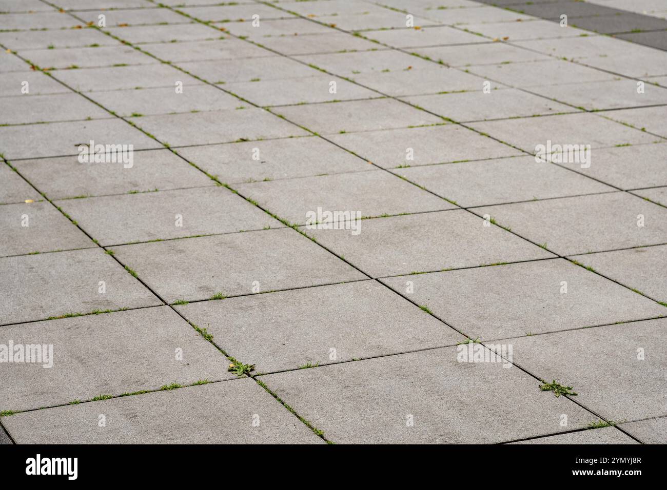 Square paved with stone slabs Stock Photo - Alamy