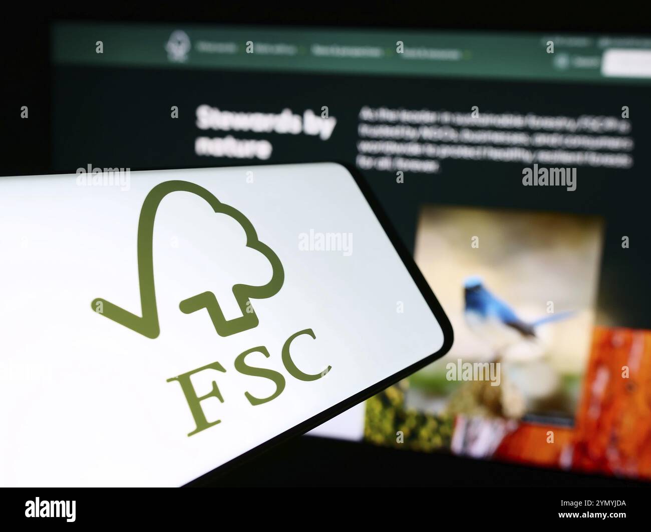 Sustainability focus hi-res stock photography and images - Alamy