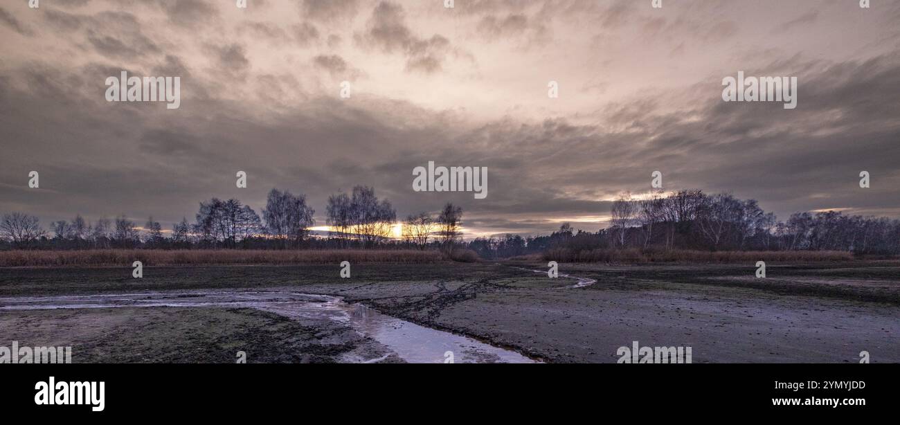 Autumn time in the Upper Lusatian Heath and Pond Landscape Biosphere ...