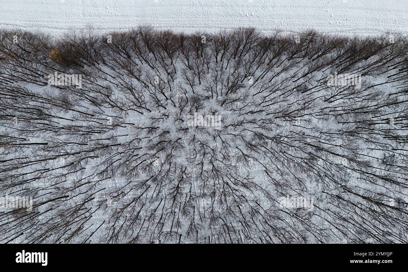 Tutzing, Bayern, Deutschland, 23. Novemberr 2024: Ein Wintertag in ...