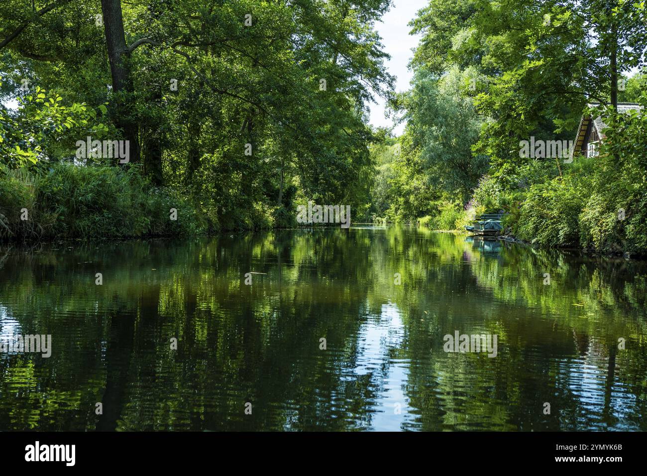 The Spreewald - travelling by kayak 4 Stock Photo - Alamy