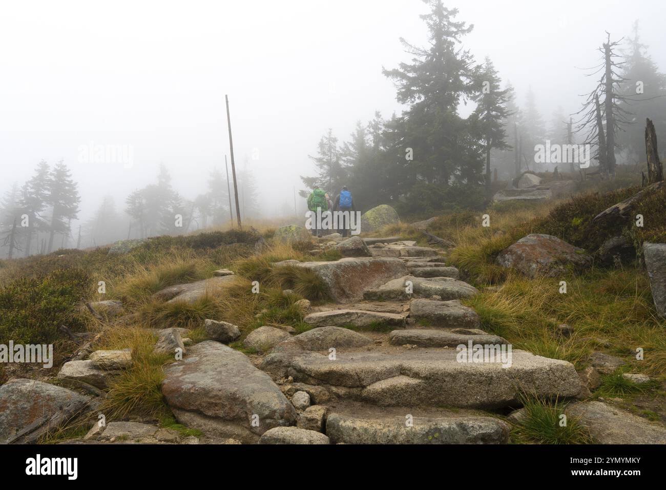 Hiking in the Giant Mountains - On the Friendship Trail Stock Photo - Alamy
